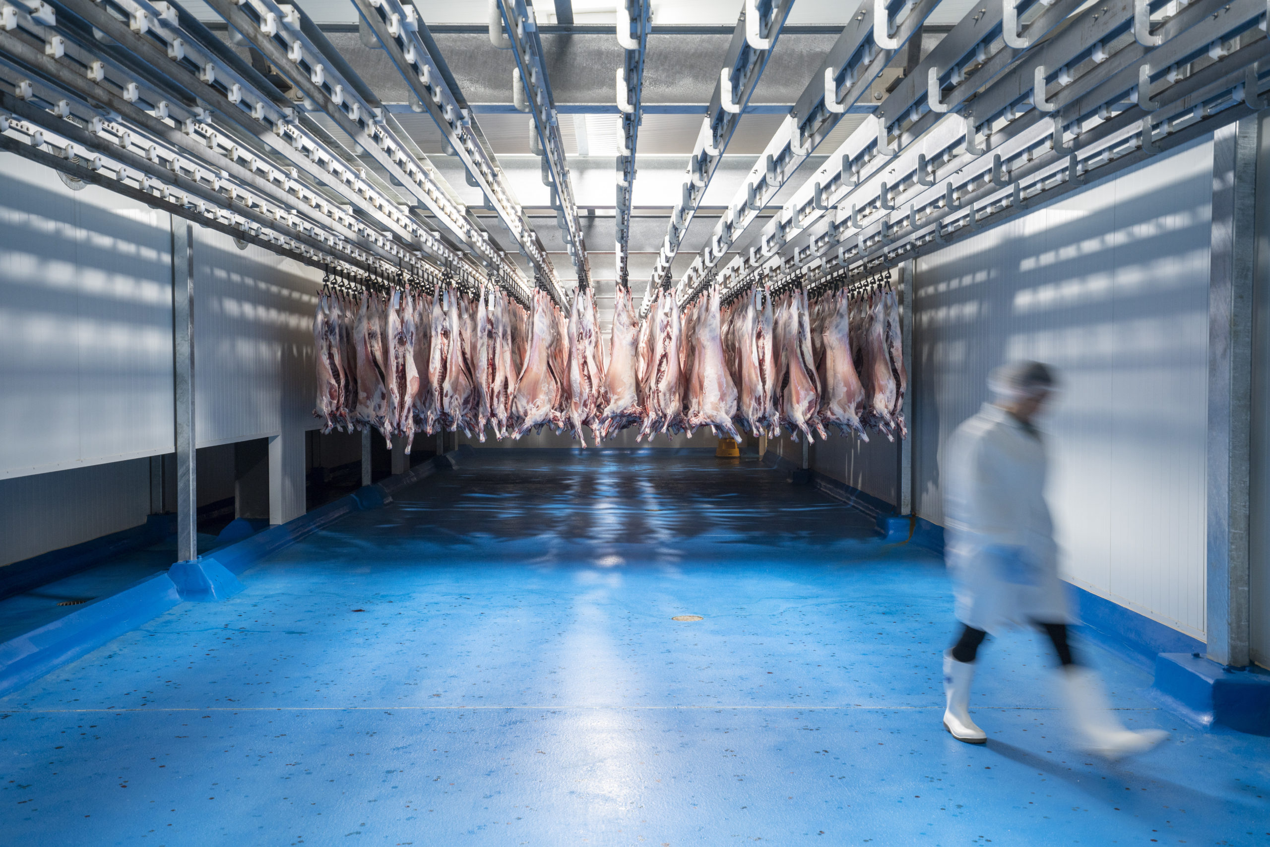 Wiley Food - Industries - Food Processing Facilities